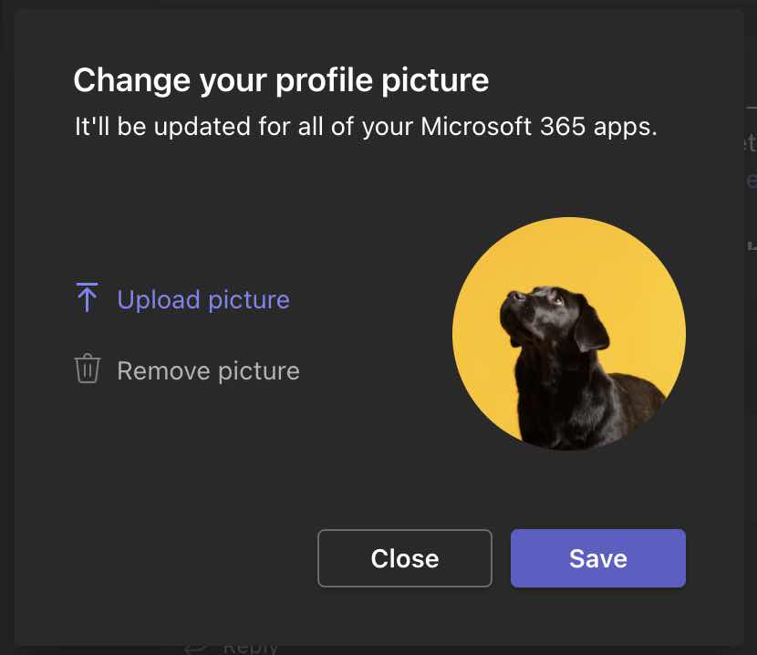 How to Manage Profile Picture on Microsoft Teams | Code2care