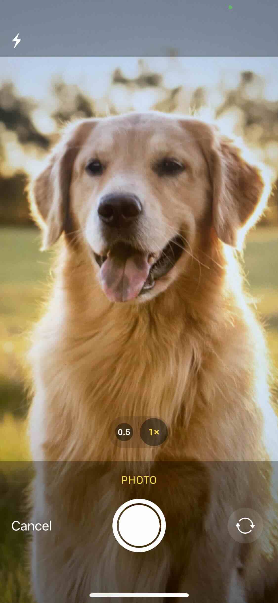 Contact Posters in iOS 17 - Personalize your iPhone Contacts | Code2care