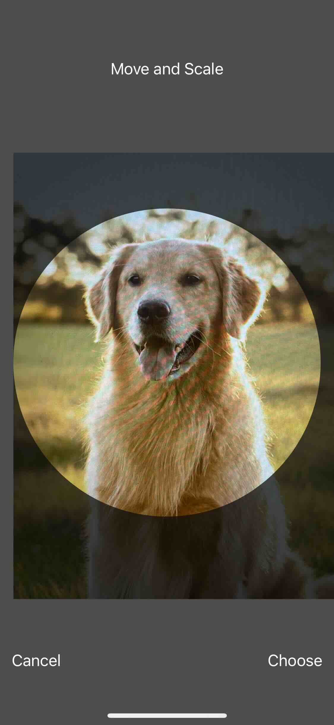 Contact Posters in iOS 17 - Personalize your iPhone Contacts | Code2care