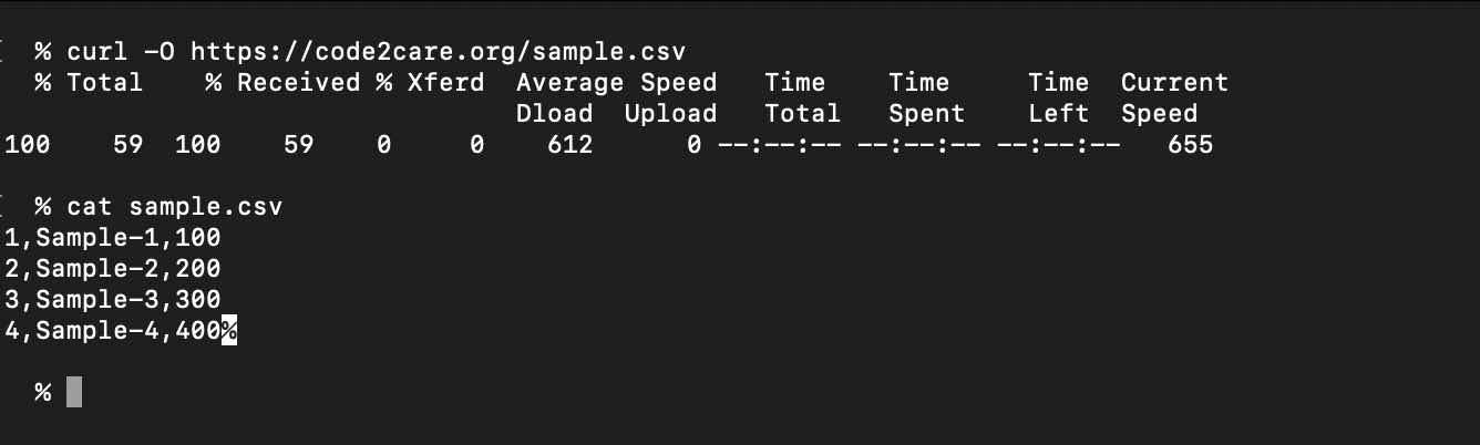 Save cURL Command Output to a external file | Code2care