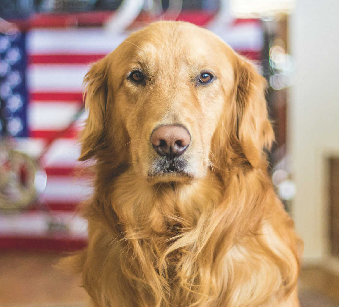 12 Creative Profile Picture Designs with CSS | Code2care