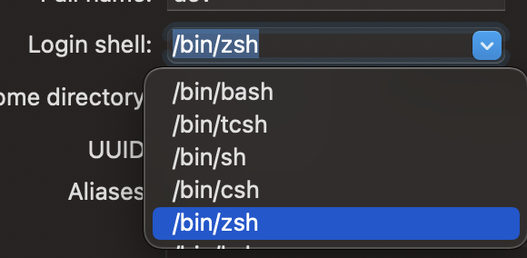 zsh terminal mac 12.0 | Code2care